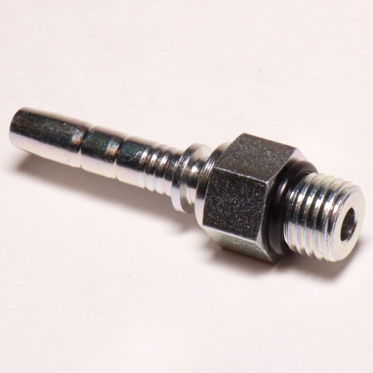 MACHO RECTO O – Regesa