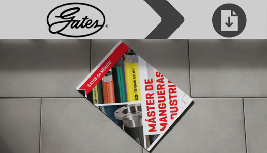 Catálogos – Regesa